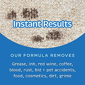 Black Swan Distributors - 2 FOLEX Instant Carpet Spot Removers (32 oz) & Reusable Microfiber Cleaning Cloths (15x15 in) - Household Stain Treater Kit