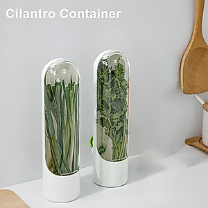 2pcs Herb Saver for Refrigerator Herb Saver Pod Asparagus Container For Fridge Cilantro Containers for Refrigerator Herb Keeper for Cilantro, Parsley(as shown)