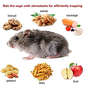 24 Inches Humane Live Rat Collapsible Rat Trap, Mice Trap Folding Rabbit Catcher for Stray Cats Groundhogs Opossums, Hamsters Live Cage Catch and Release, with Safe Carrying, 24×7.5×8.3 Inch