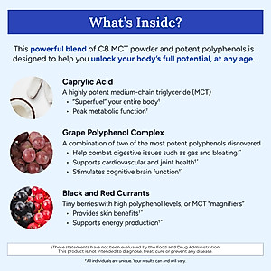 Gundry MD MCT Wellness Powder to Support Energy, Ketone Production and Brain Health, Keto Friendly, Sugar Free (30 Servings) (Watermelon Lemonade)