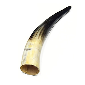 10-14" Polished Water Buffalo Horn