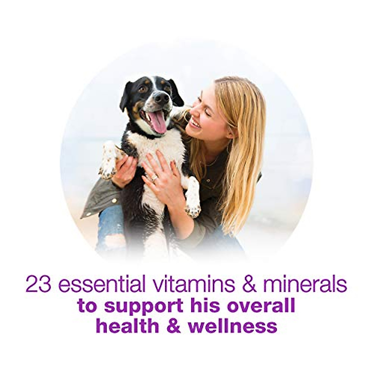 Beneful Purina High Protein Wet Dog Food Variety Pack, Prepared Meals & Chopped Blends - (16) 10 oz. Tubs