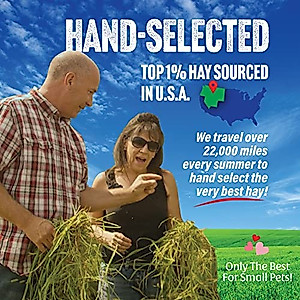 Small Pet Select 3rd Cutting Super Soft Timothy Hay Pet Food for Picky Eaters, Rabbits, Guinea Pigs, and Other Small Animals, Easy to Store Box, 10 LB