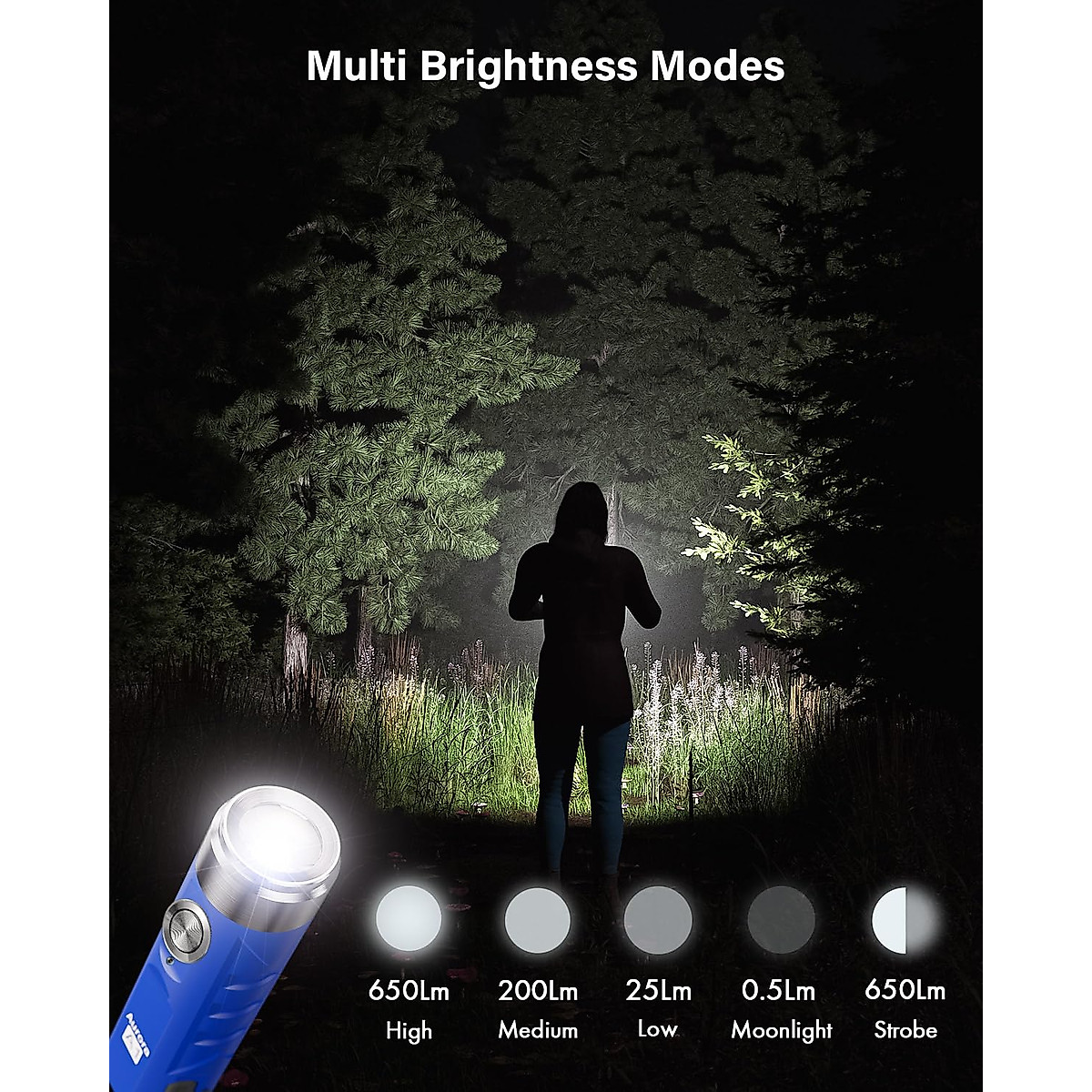 RovyVon Aurora A1 G4 USB C Rechargeable Mini Flashlight, Super Bright Keychain Flashlight 650 High Lumens Small EDC Flashlight Keychain Light with Clip for Camping, Hiking, Emergencies (Blue)