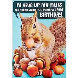 Greeting Card I'd Give Up My Nuts To Make Sure You Have A Great Birthday - Funny with Squirrel