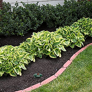 HANABASS 2pcs Killers Trapping Traps Catch for Garden Green Useful Practical Home Snail Catchers Supplies Tools