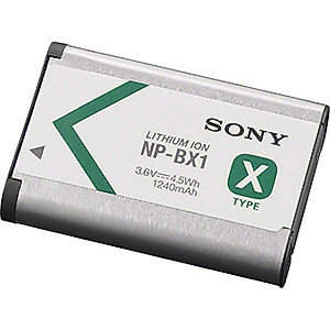 Sony NP-BX1 Lithium-Ion X Type Battery, Silver (2-Pack) Bundle with Lexar Professional 633x 64GB UHS-1 Class 10 SDXC Memory Card and Deco Photo All-in-One Cleaning Kit with Carry Case (7 Items)