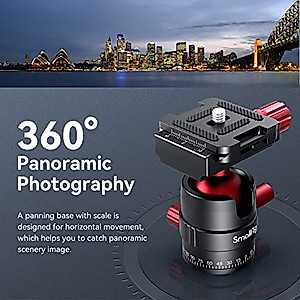 SmallRig Tripod for iPhone Desktop Mini Tripod - Aluminum Alloy 20 inches/ 50 cm with 360 Degree Ball Head, 1/4 inch Quick Shoe Plate for Vlogging DSLR Camera Video, Load up to 11 pounds-3033