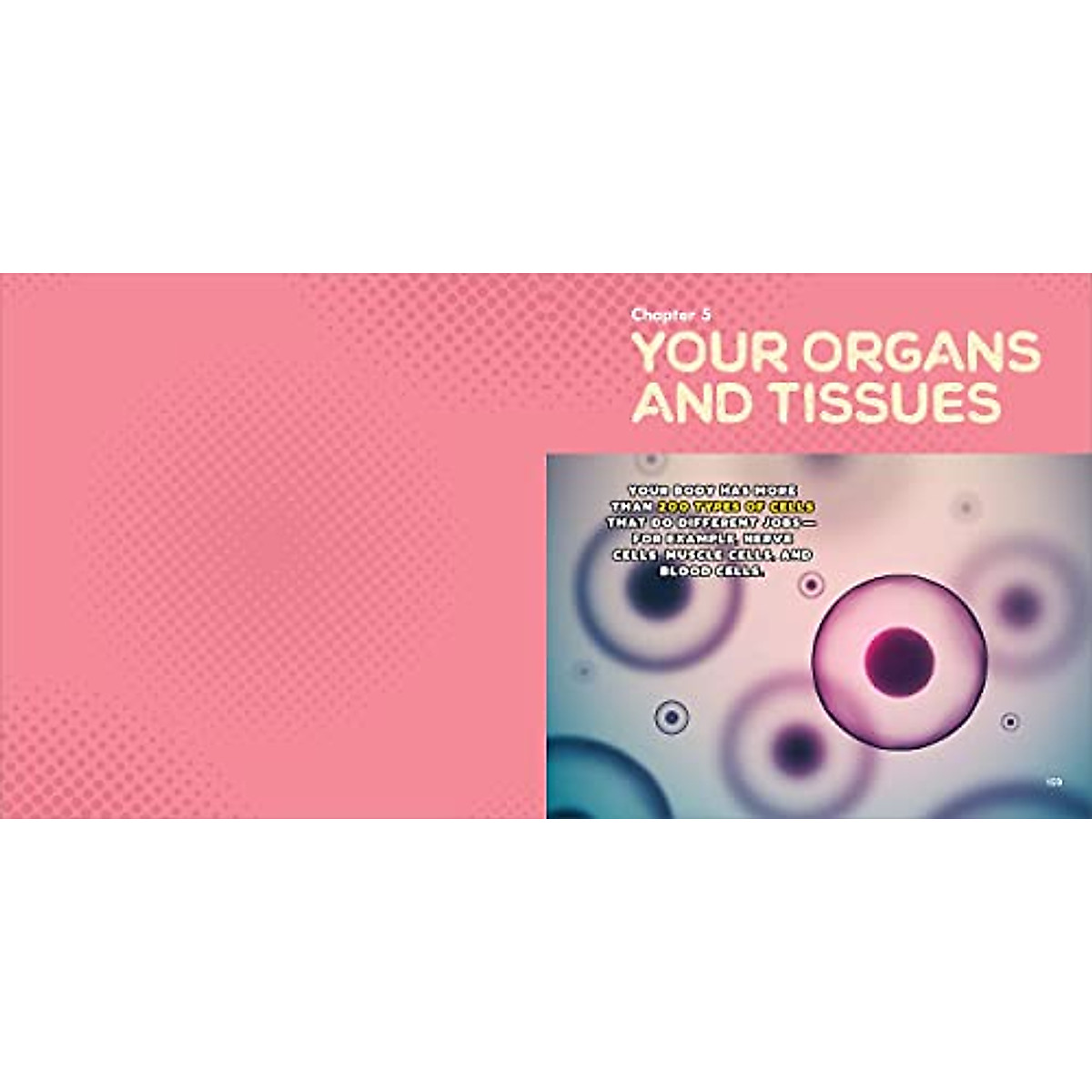 The Fascinating Human Body Book for Kids: 500 Phenomenal Facts! (Fascinating Facts)