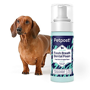 Petpost | Fresh Breath Foam for Dogs - Mint & Apple Flavored Dental Solution That Eliminates Bad Breath - Natural Tooth Cleaning Treatment 5 oz.
