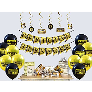 Funny OFFICIAL TEENAGER 13th Birthday Party Pack - Gold & Black 13th Birthday Party Supplies, Decorations and Favors
