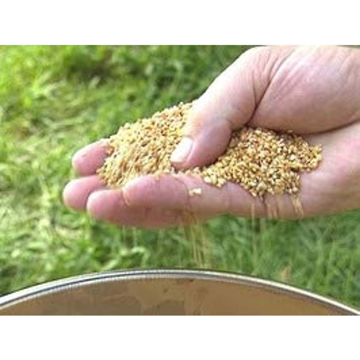 Chase Mole & Gopher Repellant 6 Lbs.