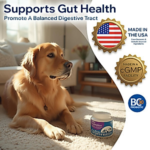 PetOptimum Probiotics for Dogs: Digestive Enzymes & Prebiotic for Gut & Digestive Health, Allergies & Itching, Immune Support, Constipation, Diarrhea & Gas Relief - 120M CFU, 90 Chews, All Breed Sizes