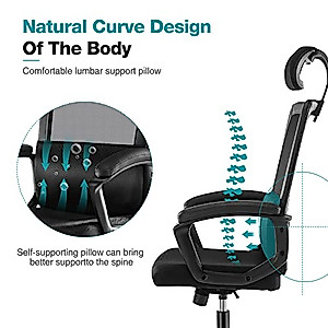 Home Office Chair Ergonomic Computer Desk Chair Mesh High Back Adjustable Height Executive Task Chair with Lumbar Support, Headrest, Padded Armrest, 360° Swivel Rocking Function,Black
