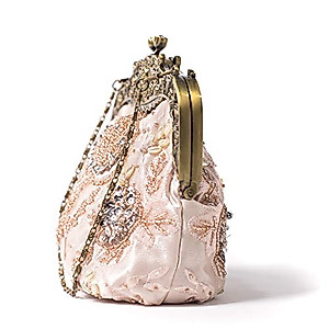 ilishop Women's Antique Beaded Party Clutch Vintage Rose Purse Evening Handbag (Champagne)