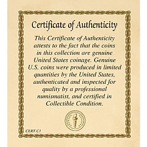 Buffalo Nickel Coin Elongated Link Bracelet | Goldtone Clip Style | 7 Inch 3 Inch Extender with Lobster Claw Clasp | Certificate of Authenticity