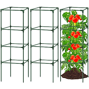 3Pack Tomato Cages for Garden,Square Tomato Plant Cage Support Heavy Duty Pole 57*15.4*15.4 Inches,Steel Plant Tower Stakes,Cherry Tomato Trellis Cucumber for Climbing Vegetables Flowers Fruits-Green