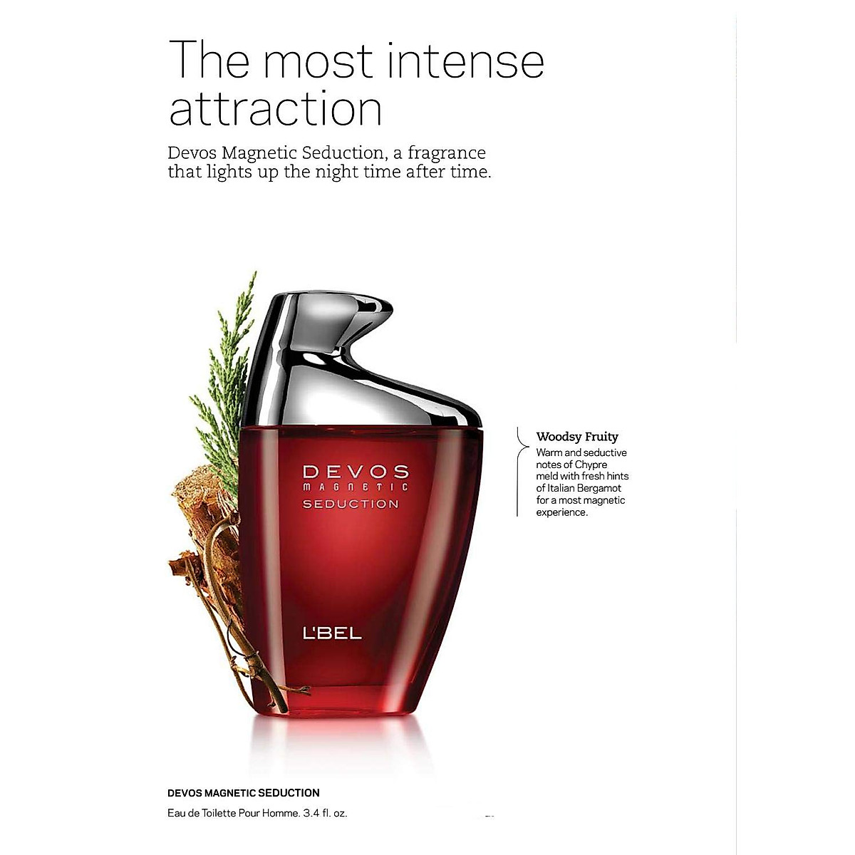 DEVOS MAGNETIC SEDUCTION by L'Bel Cologne EAU DE TOILETTE Pour Homme fragrance 3.4 Oz (3.4 Oz)