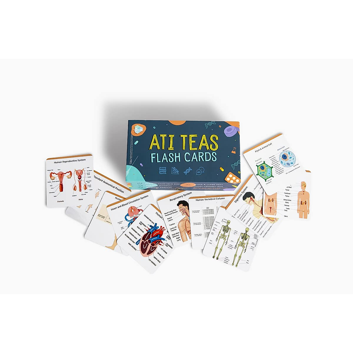 ATI TEAS 7 Flashcards - TEAS Test 7th Edition 2024-2025 Study Guide Nursing, Includes Practice Test Questions with Explained Answers for The Test of Essential Academic Skills Edition 7