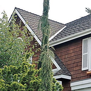 2815 Super Anchor Safety RetroFit Permanent Roof Anchor