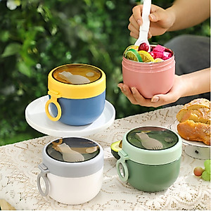 Sunnyray 21 oz Seal Tight Overnight Oats Container with Lid and Spoon Stainless Steel Overnight Oats Jars Reusable Leak Spill Proof Oatmeal Travel Container for Cereal Milk Vegetable Salad (4 Pcs)