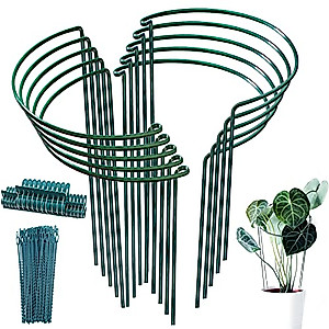 TCBWFY 10 Pack Plant Support Stakes for Peony,10" Widex16 High Heavy Duty Peony Cages and Support,Metal Peony Supports for Outdoor Indoor Plants,Plant Supports for Peony,Tomatoes,Hydrangea,Rose