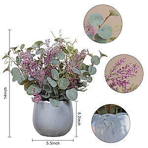 ANGELLOONG Artificial Plants for Home Decor Indoor, Potted Faux Silver Dollar Eucalyptus Greenery Leaves Fake Plants for Bedroom Aesthetic, 13.75in