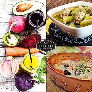 Survival Garden Seeds - Purple Vienna Kohlrabi Seed for Planting - Packet with Instructions to Plant and Grow Unique Cruciferous Vegetables in Your Home Vegetable Garden - Non-GMO Heirloom Variety