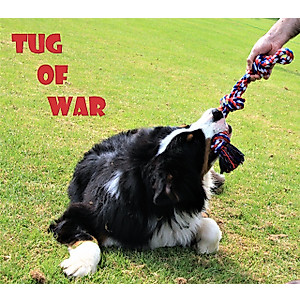 Dog Cotton Rope Toys Set for Medium and Large Dogs Who Love to Play Rough and are Aggressive Chewers. Almost Indestructible, Washable Dental Floss, Tough Tug of War/Chewing Toys - (6 pack)