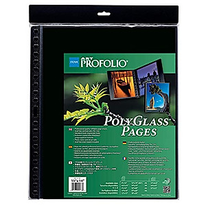 ProFolio by Itoya, Art ProFolio PolyGlass, 10-Pack Multi-Ring Binder Refill Pages - Portrait, 8.5 x 11 Inches