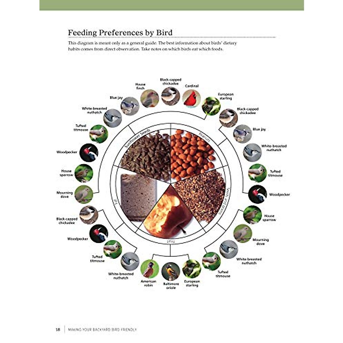 Birdhouses, Boxes & Feeders for the Backyard Hobbyist: 19 Fun-to-Build Projects for Attracting Birds to Your Backyard (Fox Chapel Publishing) Step-by-Step Suet Feeders, Nest Boxes, Bat Boxes, and More