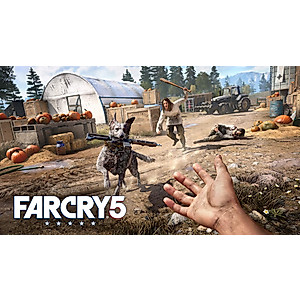 Far Cry 4 + Far Cry 5 (PS4)