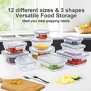 BAYZZ Glass Food Storage Containers Set, 24 Pieces Airtight Glass Meal Prep Containers with Lids,Microwave and Freezer Safe