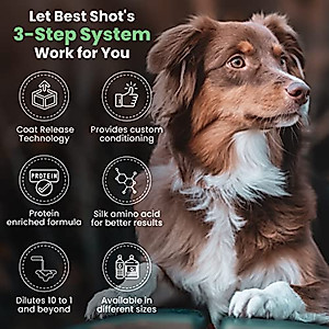 Best Shot Ultra Plenish Conditioner, 1 Gallon