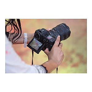 Nikon Z 8 | Professional full-frame mirrorless stills/video hybrid camera | Nikon USA Model