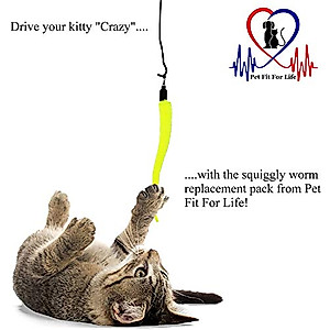 Pet Fit For Life 5 Piece Replacement Pack of Worms for Interactive Cat and Kitten Toy Wands