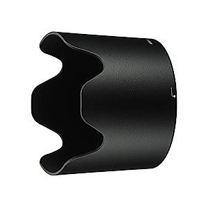 Nikon 70-300mm f/4.5-5.6G ED IF AF-S VR Nikkor Zoom Lens for Nikon Digital SLR Cameras