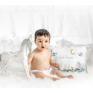 Silky Tales - Toddler Pillowcase 100% Silk - Kids Pillow Cover 13x18 (White with Light Pink and Blue)