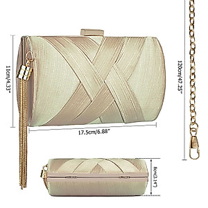 KISSCHIC Women's Elegant Tassel Evening Bag Clutch Purse for Bride Wedding Prom Night Out Party, Red