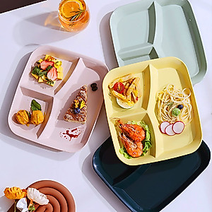 Nicunom 8 Pack Unbreakable Divided Plates, 10 Inch Portion Control Plates, Reusable 3-Compartment Dinner Plate For for Healthy Eating & Bariatric Diet, Microwave And Dishwasher Safe