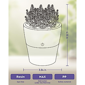 Small Humidifier For Plants, Mini Humidifiers For Bedroom Home, Lavender plant Cool Mist Humidifiers, 150m personal humidifier, Super Quiet And Waterless Auto Shut Off