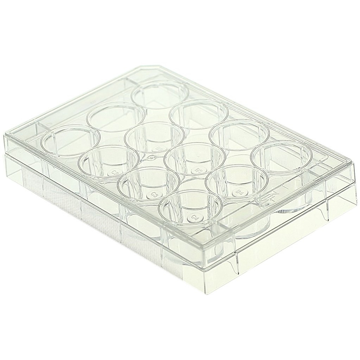 Nest Scientific 712001 Polystyrene 12 Well Cell Culture Plate, Flat Bottom, Tissue Culture Treated, Sterile, Clear, 1 per Pack, 50 per Case (Pack of 50)