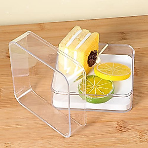 POPETPOP Display Case- Transparent Display Box with EVA Foam Board, Storage Box for Specimen Display & Collectibles