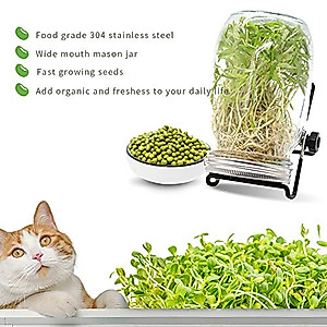 LIVEBAY Sprouting Jar Kit Stainless Steel Kitchen Sprouting Lids and Stands Seed Sprouter Set Organic Healthy Fresh 1L Wide Mouth Mason Jar for Broccoli, Alfalfa, Mung Beans