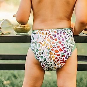 Best Bottom Regular All in Two Diaper Cover | Adjustable Snap Cloth Diapers for Babies | Eco Friendly Reusable Diapers with Waterproof Gussets | Newborns Thru Toddlers 8-35+ Lbs. (Far Far Away)
