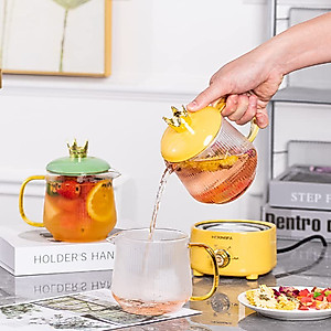 Morantica Hot Tea Maker Electric Glass Kettle with temperature control Automatic Shut off Brewing Programs for your favorite teas and Coffee (white)