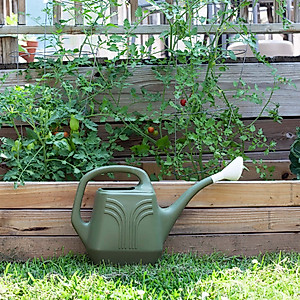 Bloem Promo Watering Can: 2 Gallon Capacity - Living Green - Durable Resin, Removable Nozzle Spout, Two Handles, Wide Mouth, for Indoor and Outdoor Use, Gardening