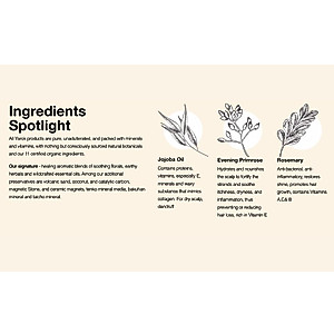 Yarok - Feed Your Ends Leave In Conditioner - Moisturize, Detangle & Protect - Hydrating & Nourishing - For Shiny, Smooth, Soft Hair - 100% Vegan - Gluten, Sulfate, Paraben & Cruelty Free - 4oz