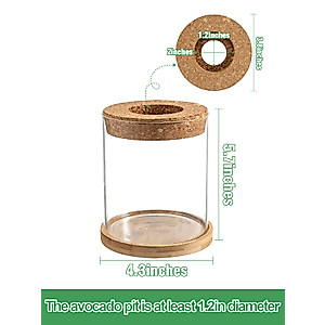 Biggun Avocado Tree Growing Kit - Avocado Pit Planting Bowl with Cork and Wooden Base, Cultivating Seedlings in Novel Way, Great Gift for Family Friends and Gardening Enthusiasts