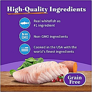 Halo Adult Grain Free Wet Cat Food Pate, Whitefish Recipe, Healthy Cat Food with Real, Whole Whitefish, 5.5 oz Can (Pack of 12)